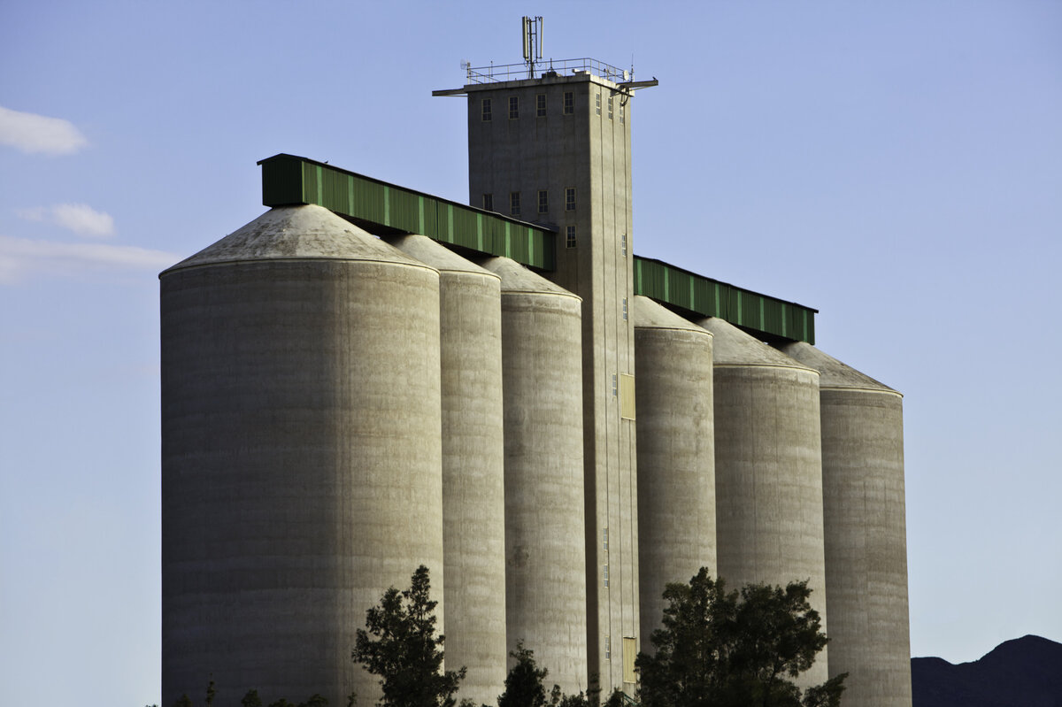 Grain and milling technology - Shaped by decades of experience